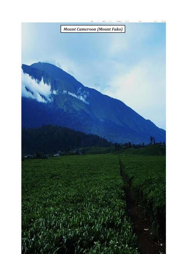 Cameroon Commonwealth Journal